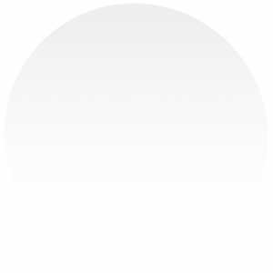 Bidnapper – Top eBay Aution Sniper