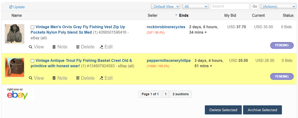 How to use the AUCTIONS page – Bidnapper