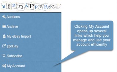 Your MY ACCOUNT Menu – Bidnapper