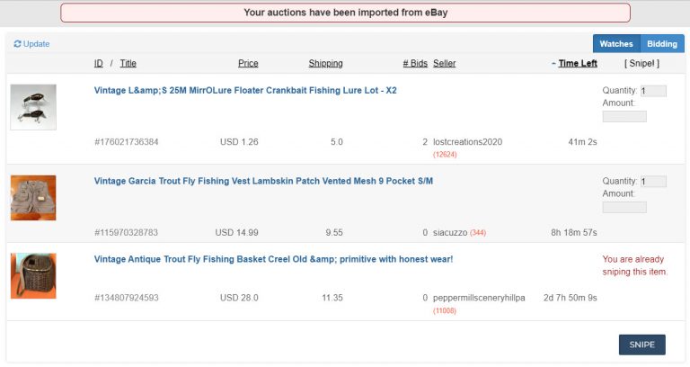 How to use the MY EBAY IMPORT page – Bidnapper
