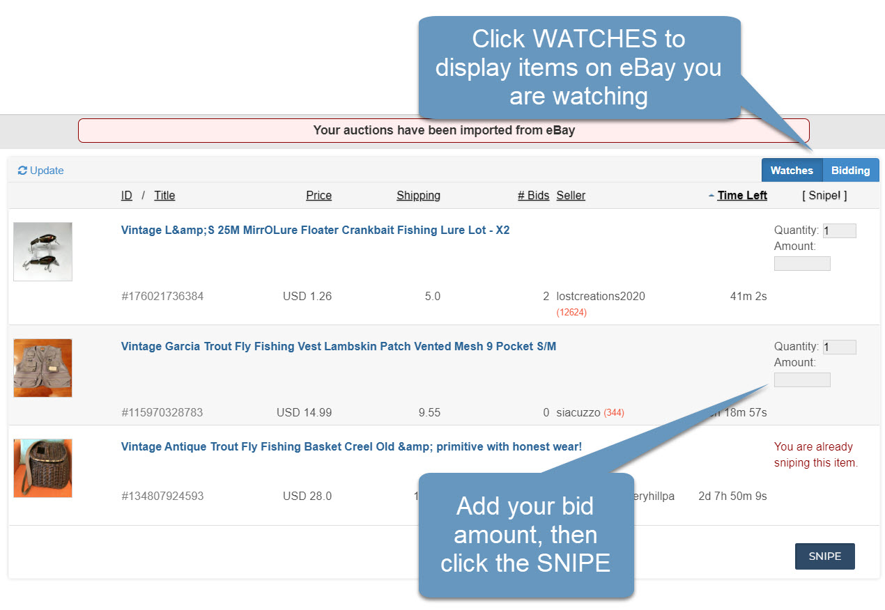 Other Ways to Enter Bids for Sniping – Bidnapper